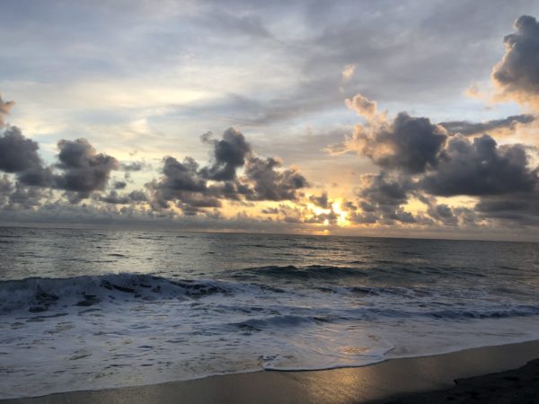 The winter solstice brings the return of the sun - Yard Doc Carol